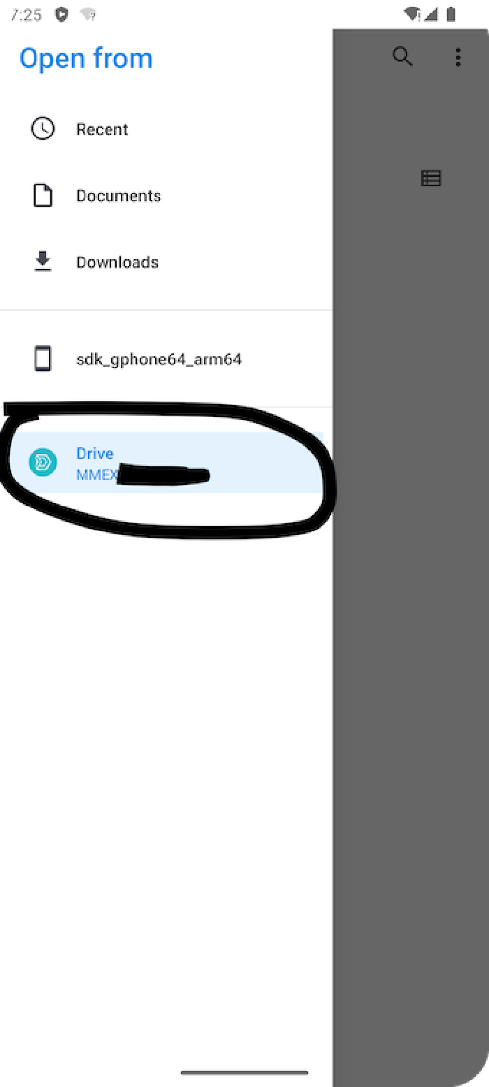 MMEX Cloud Storage with Synology Drive - MoneyManager Ex